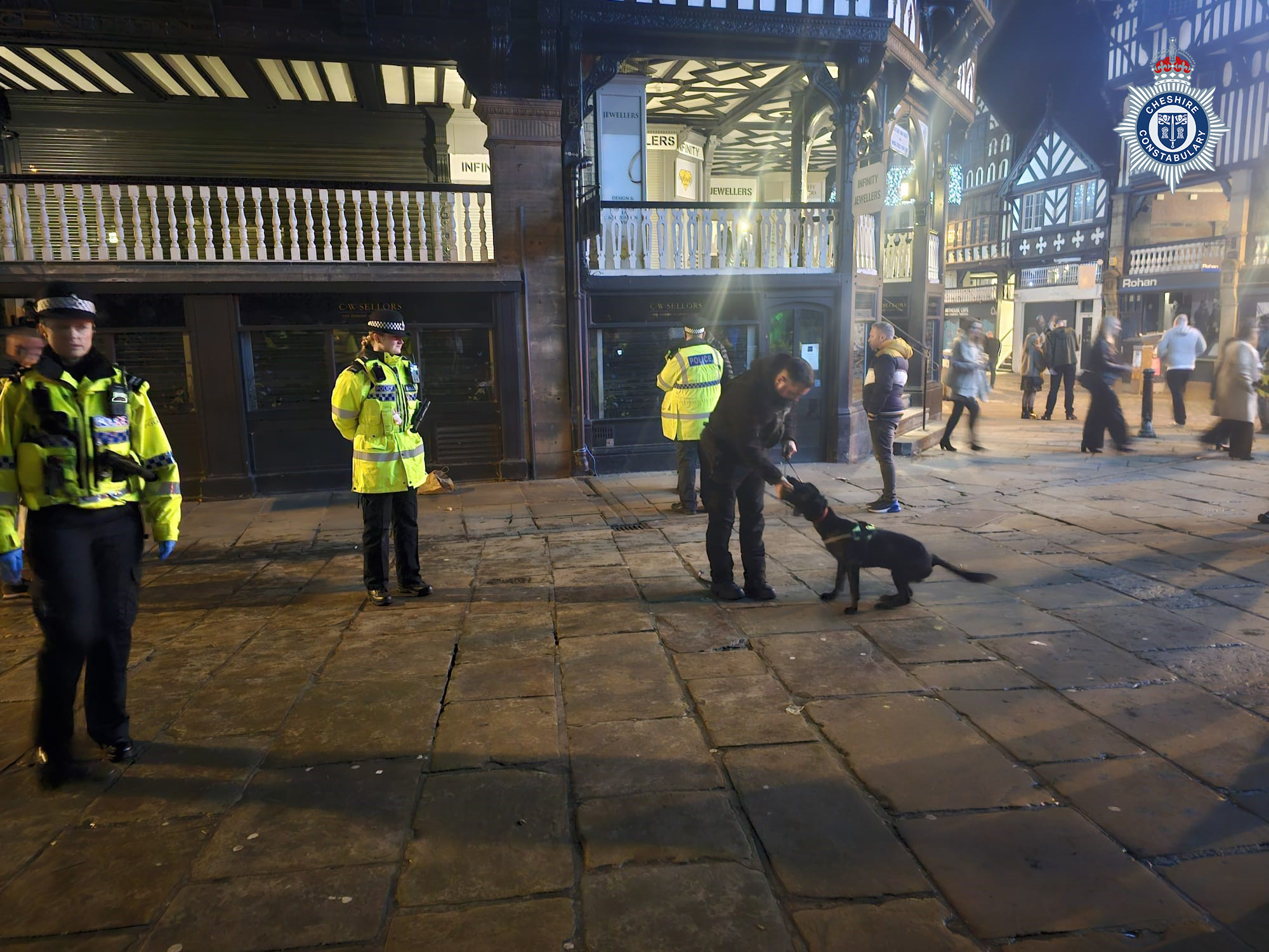 Passive drug dog operations take place in Chester | Cheshire Constabulary